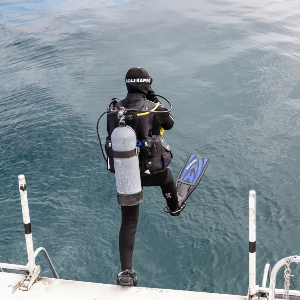 TWIN JET MAX - SPRING STRAPS - SCUBA.si